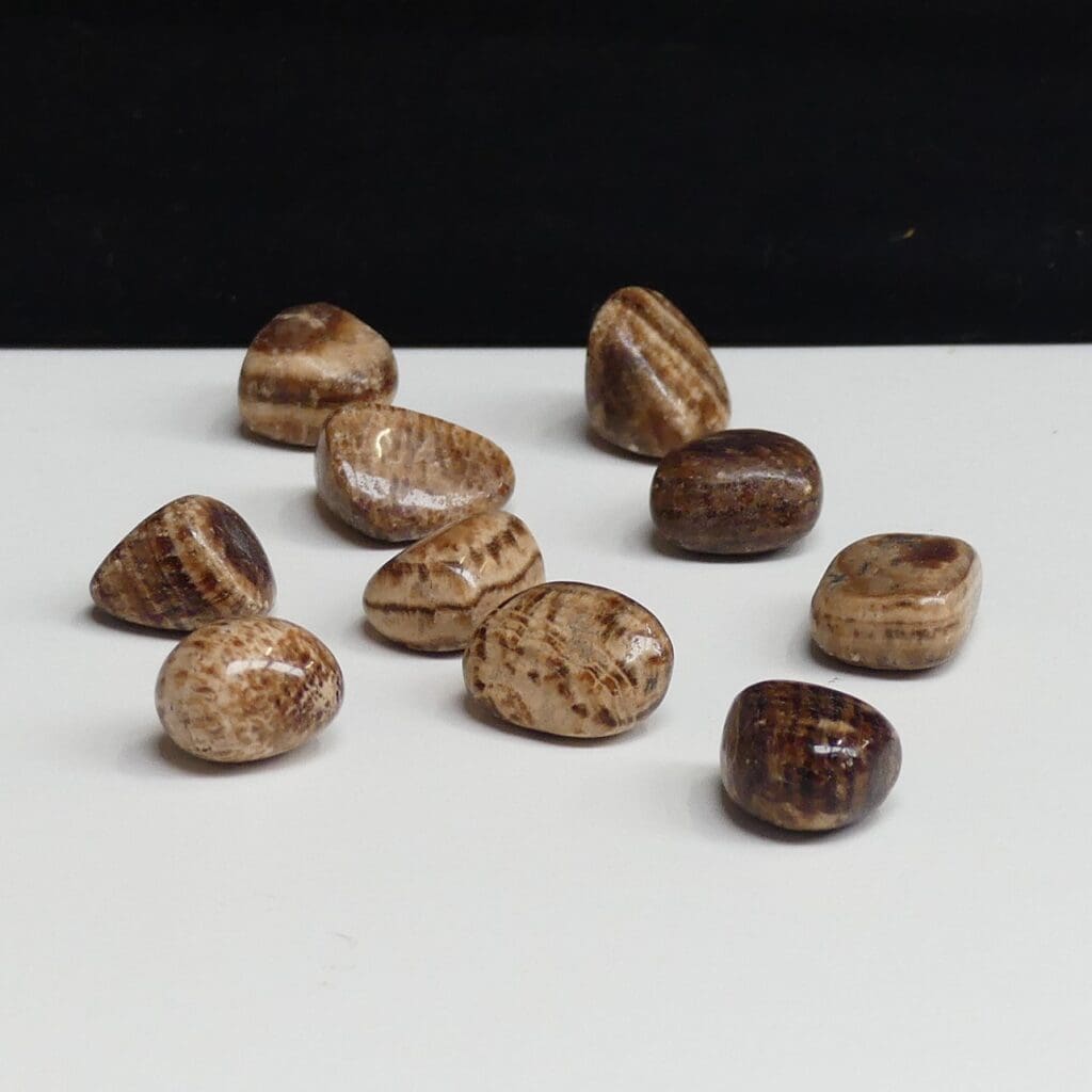 Aragonite - Brown Tumble - The Crystal Barn