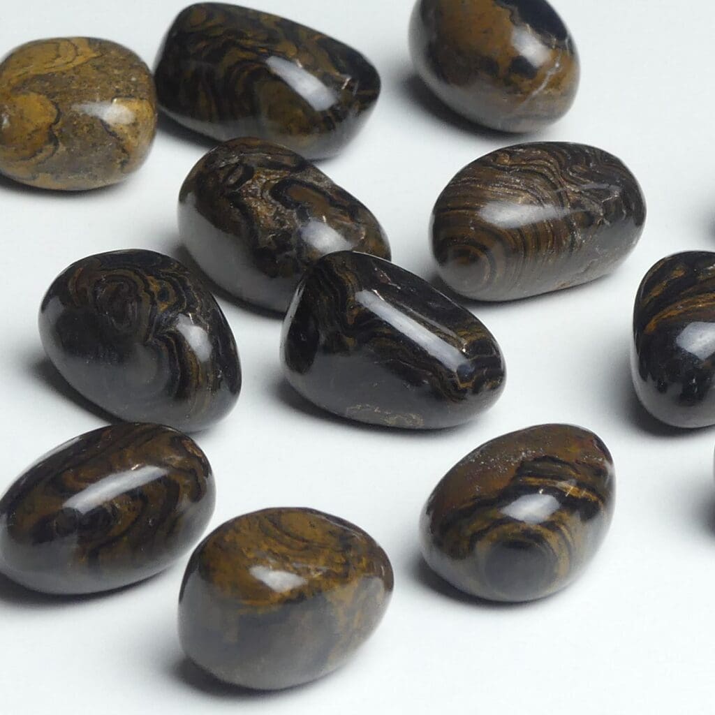 Stromatolite - The Crystal Barn