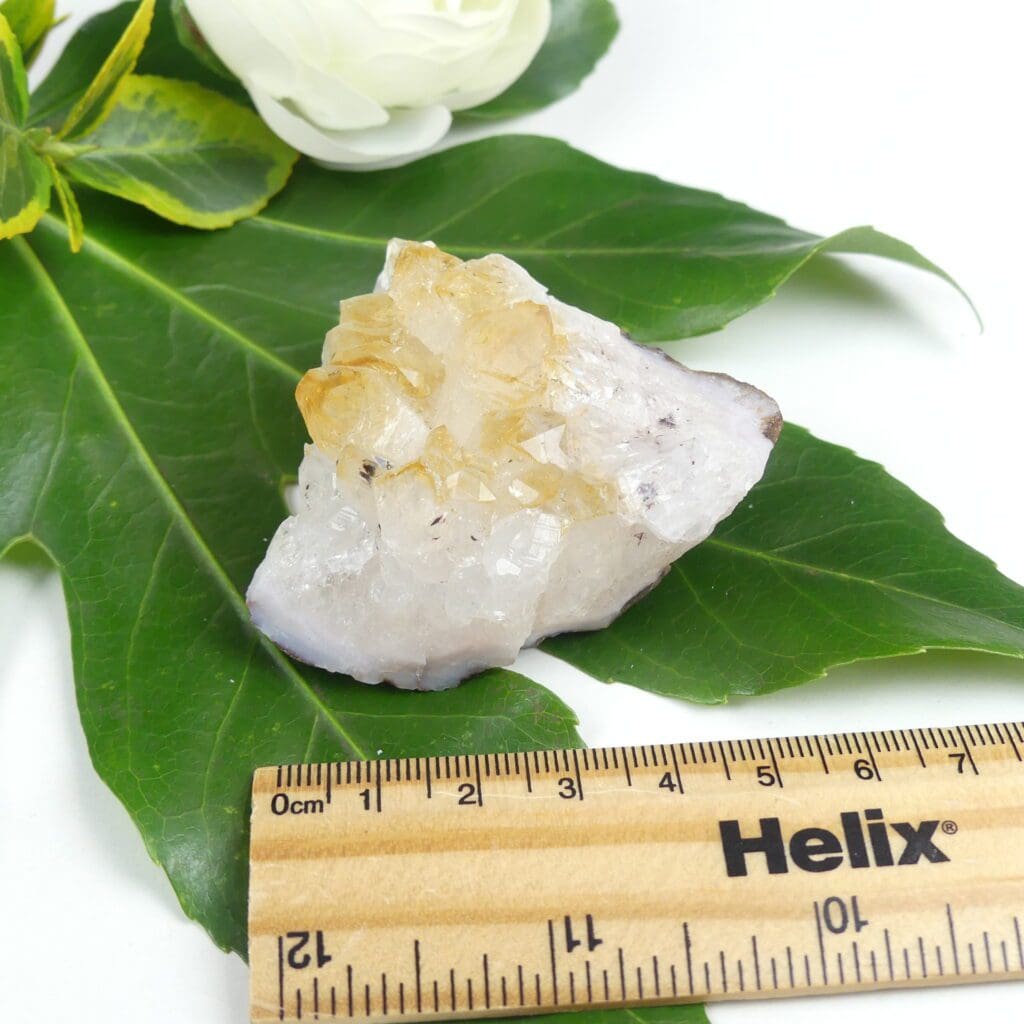 Citrine Cluster - The Crystal Barn
